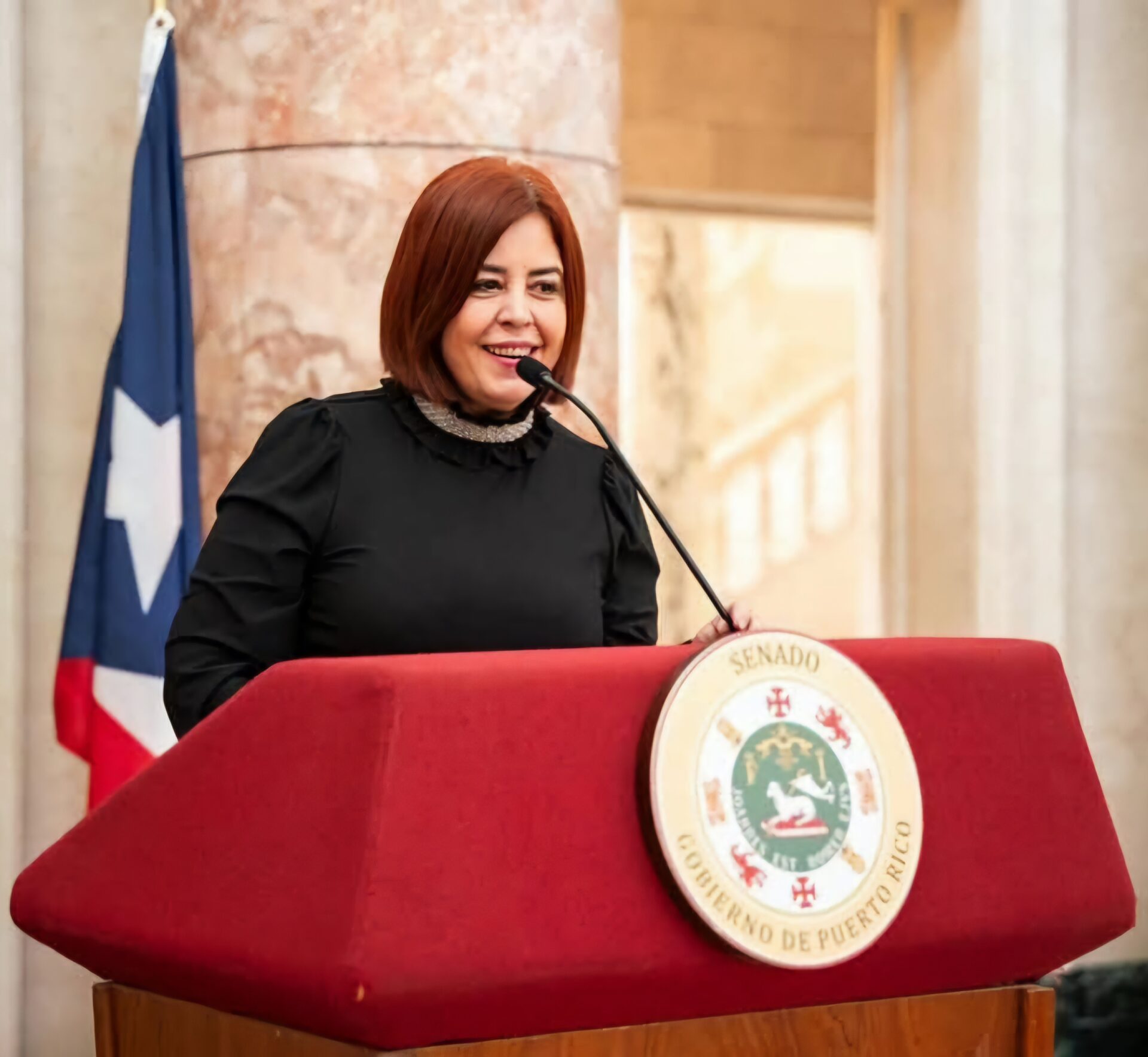 Senado a investigar las Escuelas de la Isla | Semanario Visión