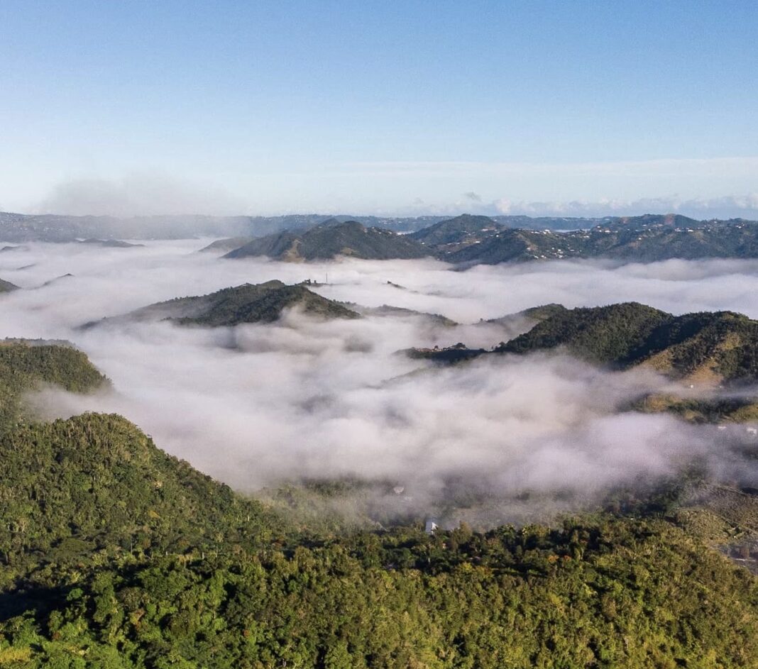 Cayey honra su apodo Ciudad de las Brumas | Semanario Visión