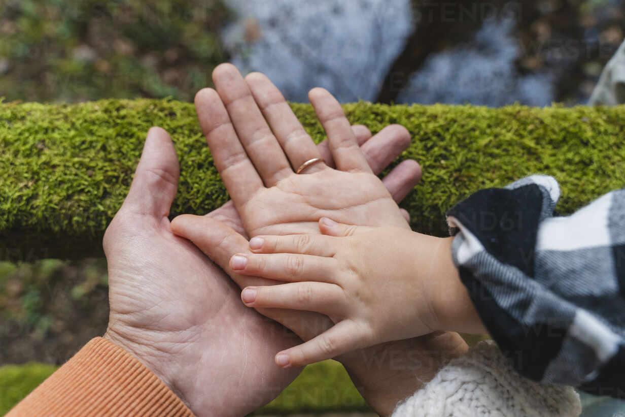 Día de Padres | Semanario Visión